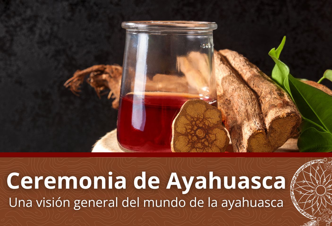 🍂 Ceremonia de ayahuasca - Una visión del mundo de la Ayahuasca